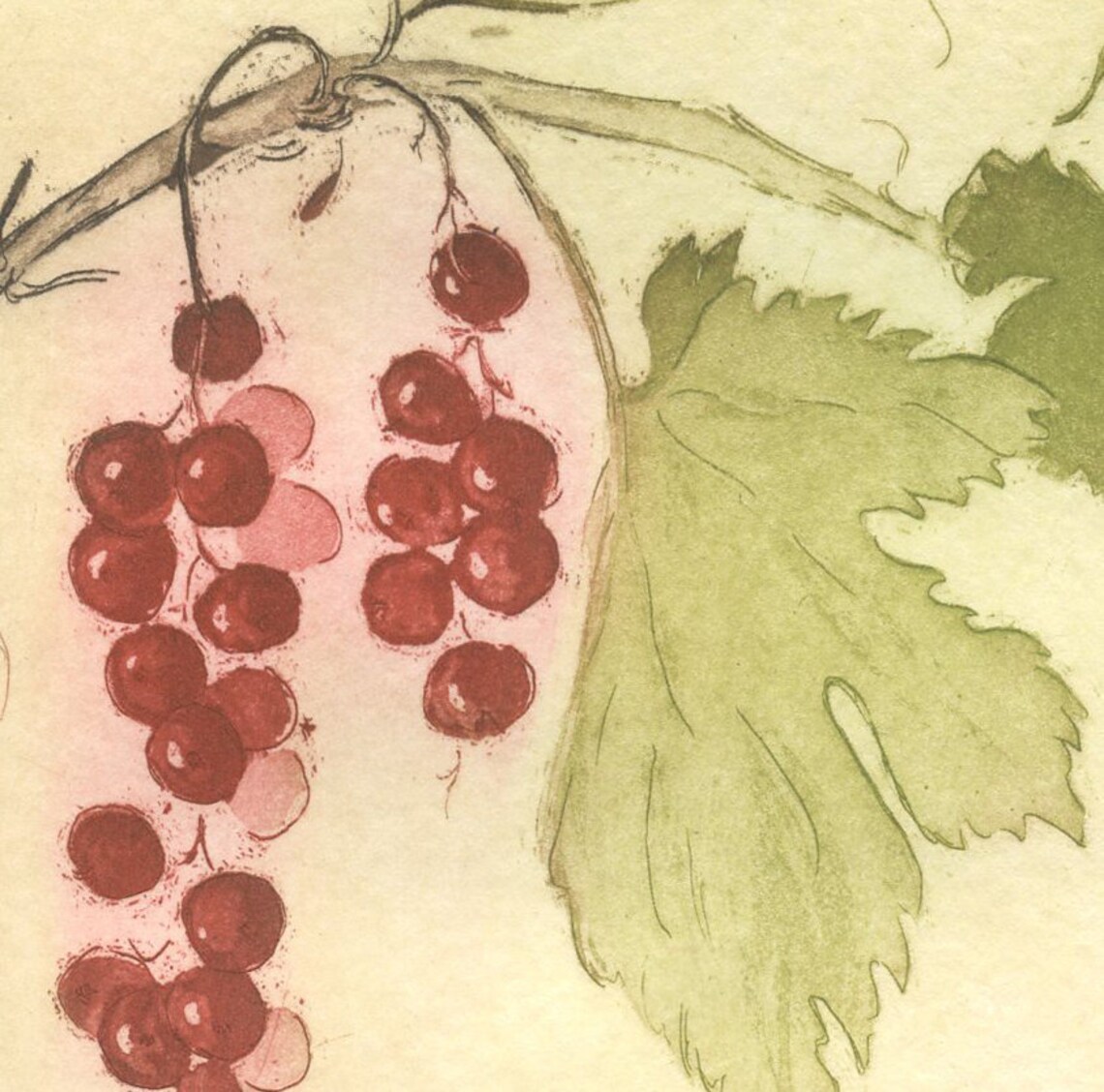 Red Currants Original Fine Art Etching - Etsy