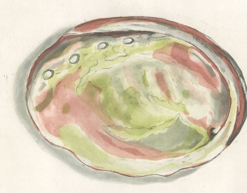 Abalone Shell, Fine Art Etching - Etsy