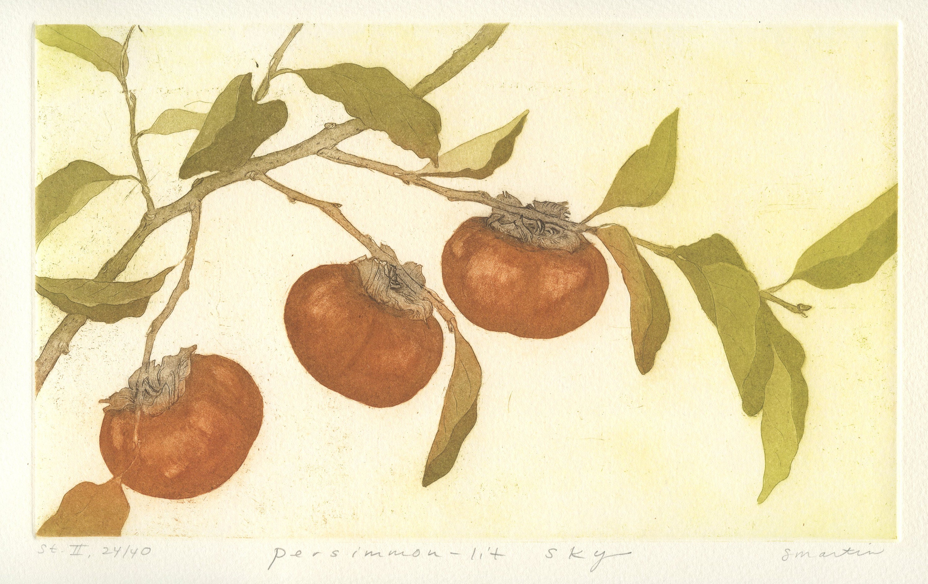Three Persimmons, Original Fine Art Etching of Fall Persimmons - Etsy