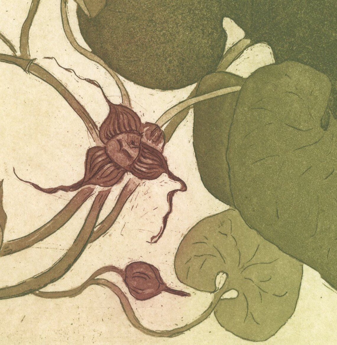 Wild Ginger Fine Art Etching - Etsy