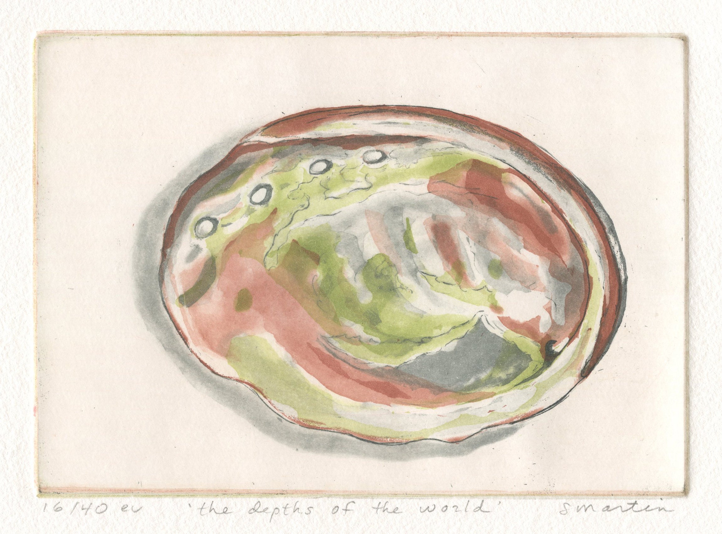 Abalone Shell Fine Art Etching | Etsy