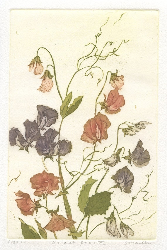 Sweet Peas Original Etching of Garden Flowers | Etsy