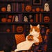 Halloween Cat PNG: Spooky Book Stack Digital Art (digital Download - Etsy