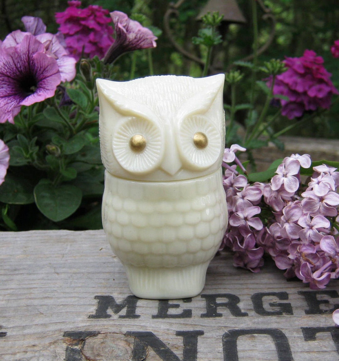 Vintage Avon Owl Bottle, Stash Jar, Pill Box, Secret Storage Oak Hill ...