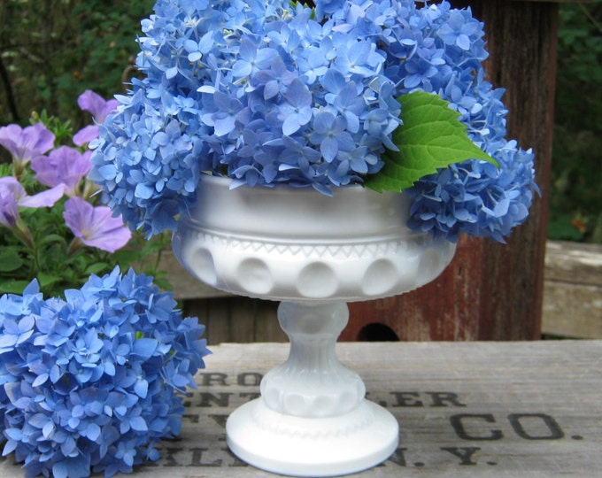 White Milk Glass Compote With Thumbprint Design Kings Crown - Etsy