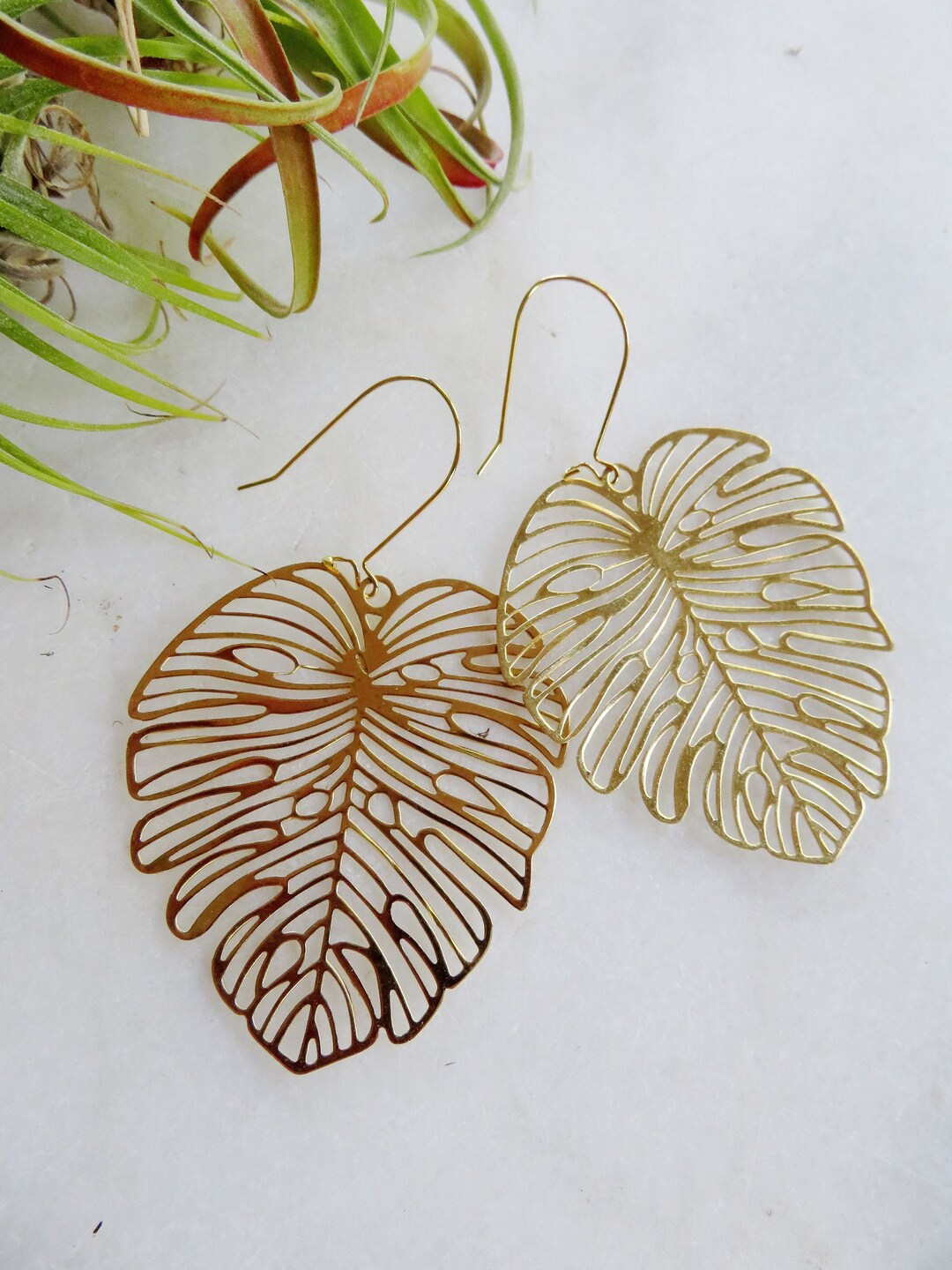 Large Open Leaf Earrings Gold Monstera Lightweight - Etsy