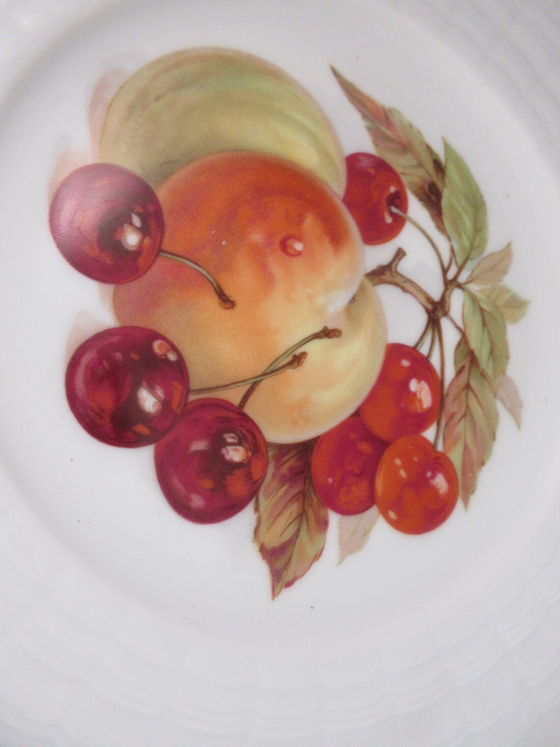 Fruit Motif China Luncheon/salad Plates Set of Three From | Etsy