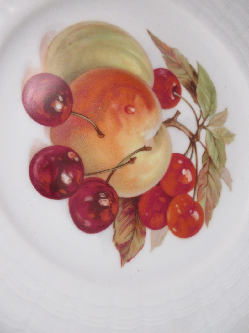 Fruit Motif China Luncheon/salad Plates Set of Three From | Etsy