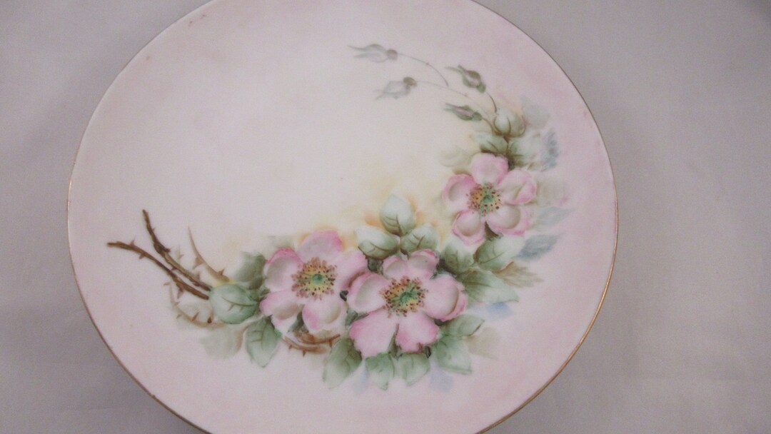 Handpainted Small China Plate Pastel Pink and Green Floral Design - Etsy