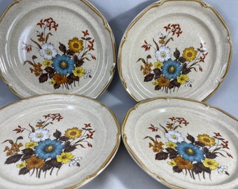 Sunmarc Stoneware Dinner Plates Set of Five, Endura Collection Multi ...