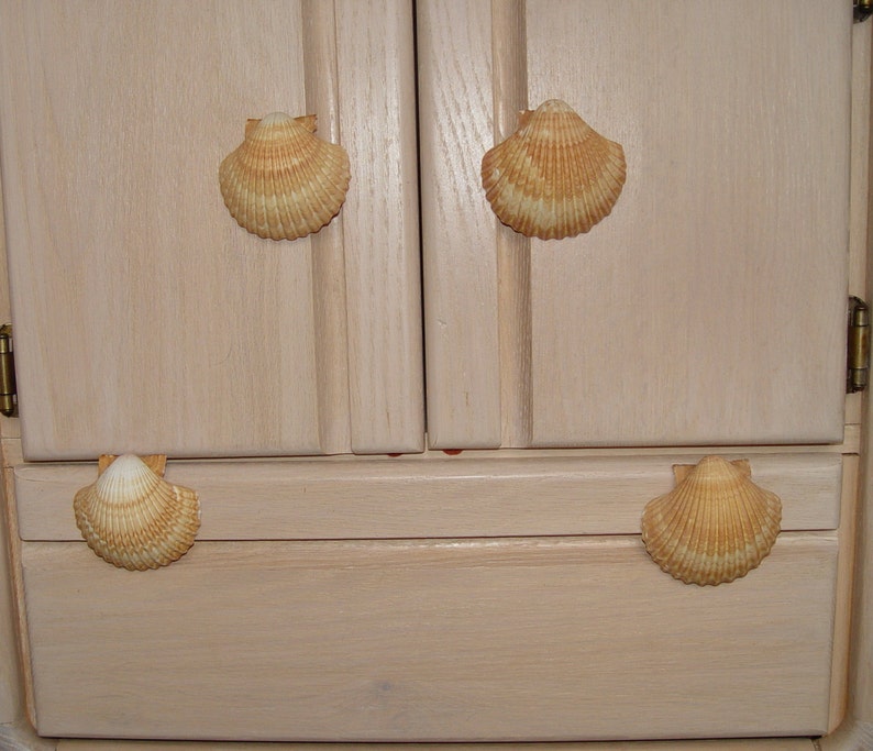 Custom Sea Shell Drawer Pulls Knobs - Etsy