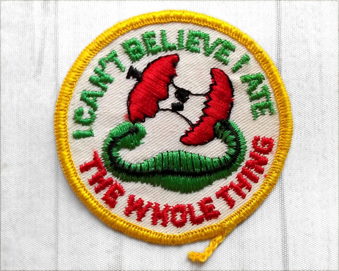 Lightly Soiled Used Vintage I Can't Believe I Ate The Whole Thing Patch ...