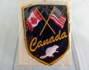 Canadian beaver | Etsy