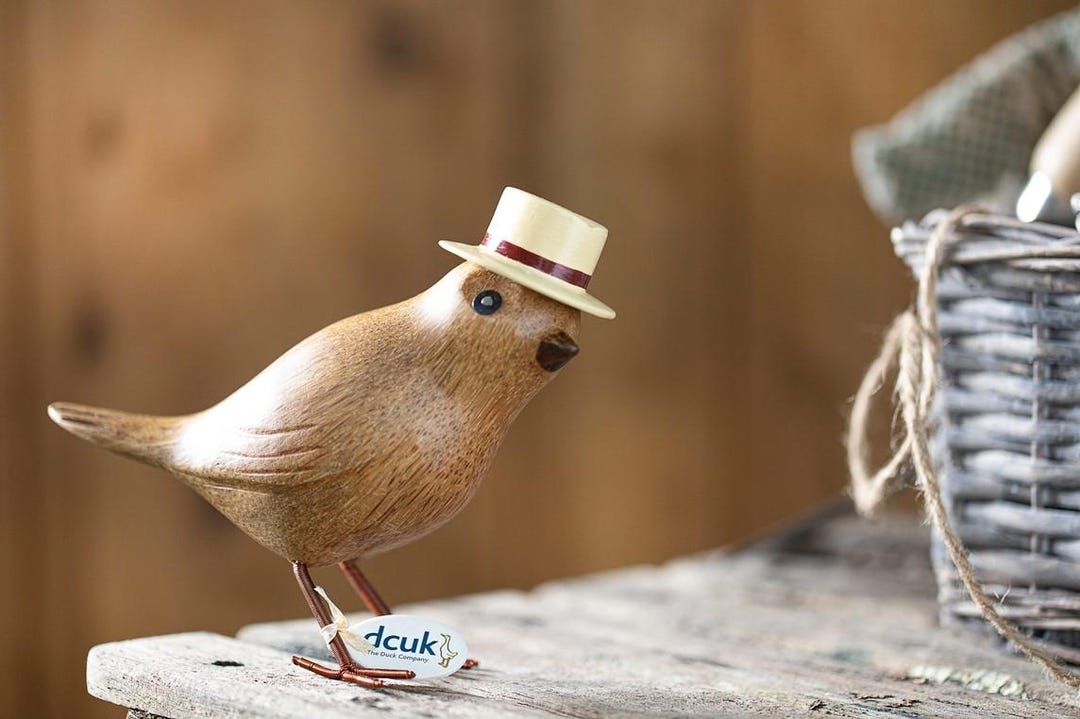 Dcuk Garden Bird Yellow Hat in Box - Etsy