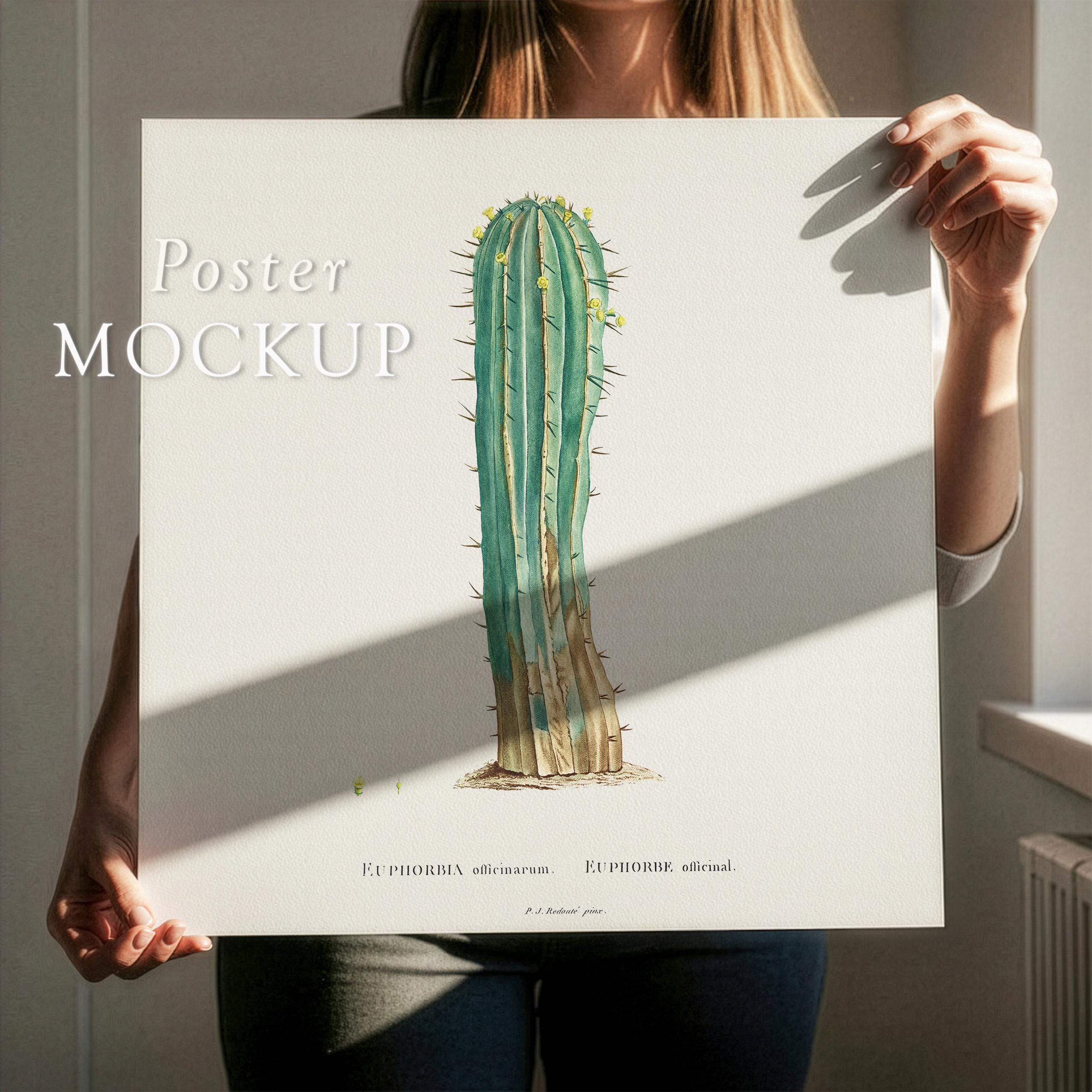 Square Poster Mockup Held by Hands: Realistic 1x1 Paper Scene for ...