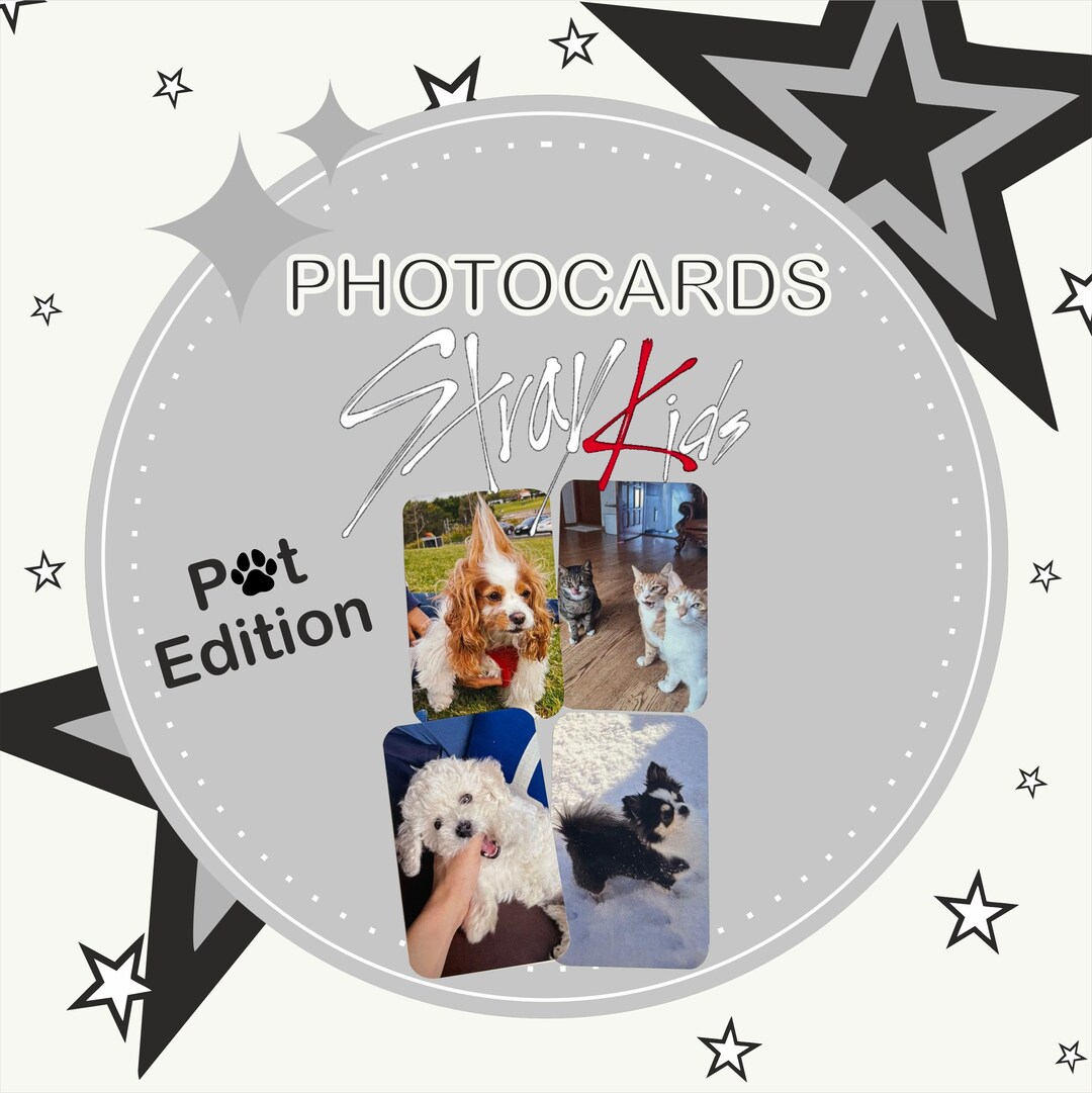 Stray Kids Pets Photocard - Kpop Group Korean Pop Music South Korea Pc ...