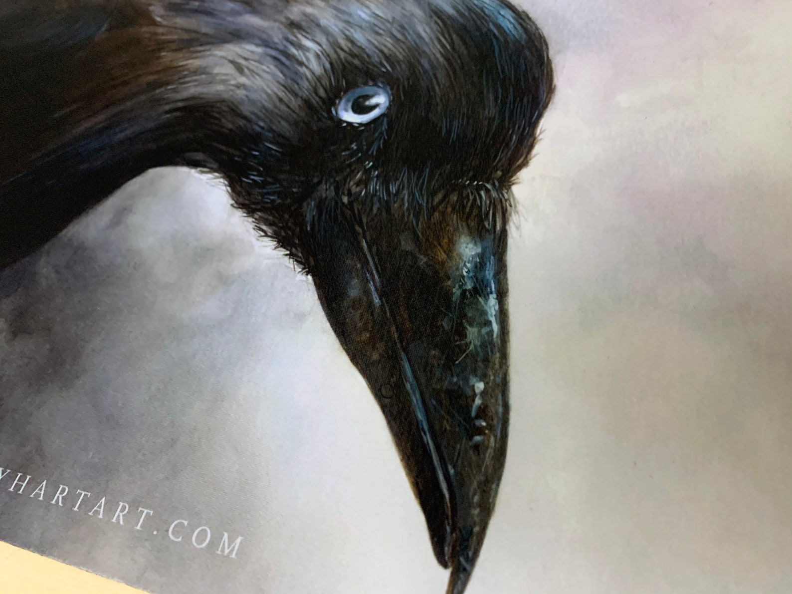 Crow Playmat and Desk Mat - Etsy