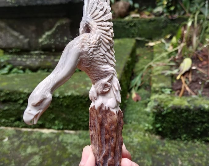Antler Carving, Walking Stick Handle Vulture Bird Motive - Etsy