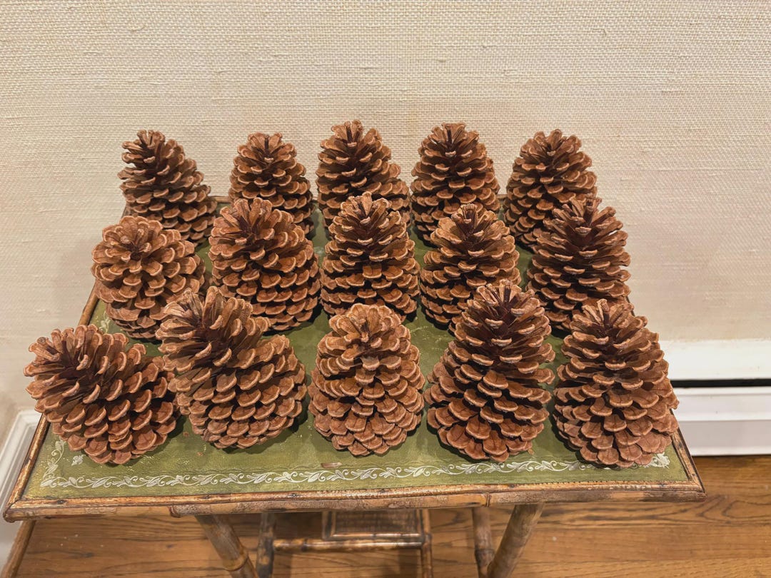 Long Leaf Pine Cones 4" - 7" - Set of 12. Christmas Decor Wreaths ...