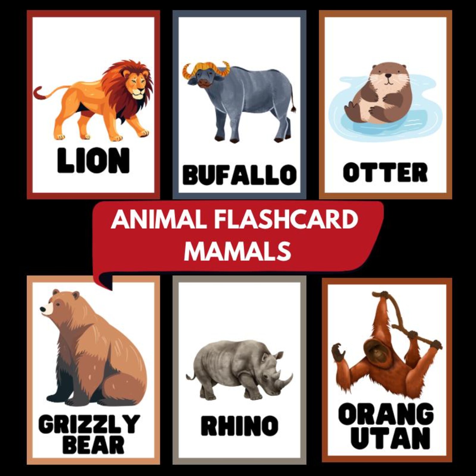 65 Mammal Flashcards for Kids – Educational Animal Learning Cards - Etsy