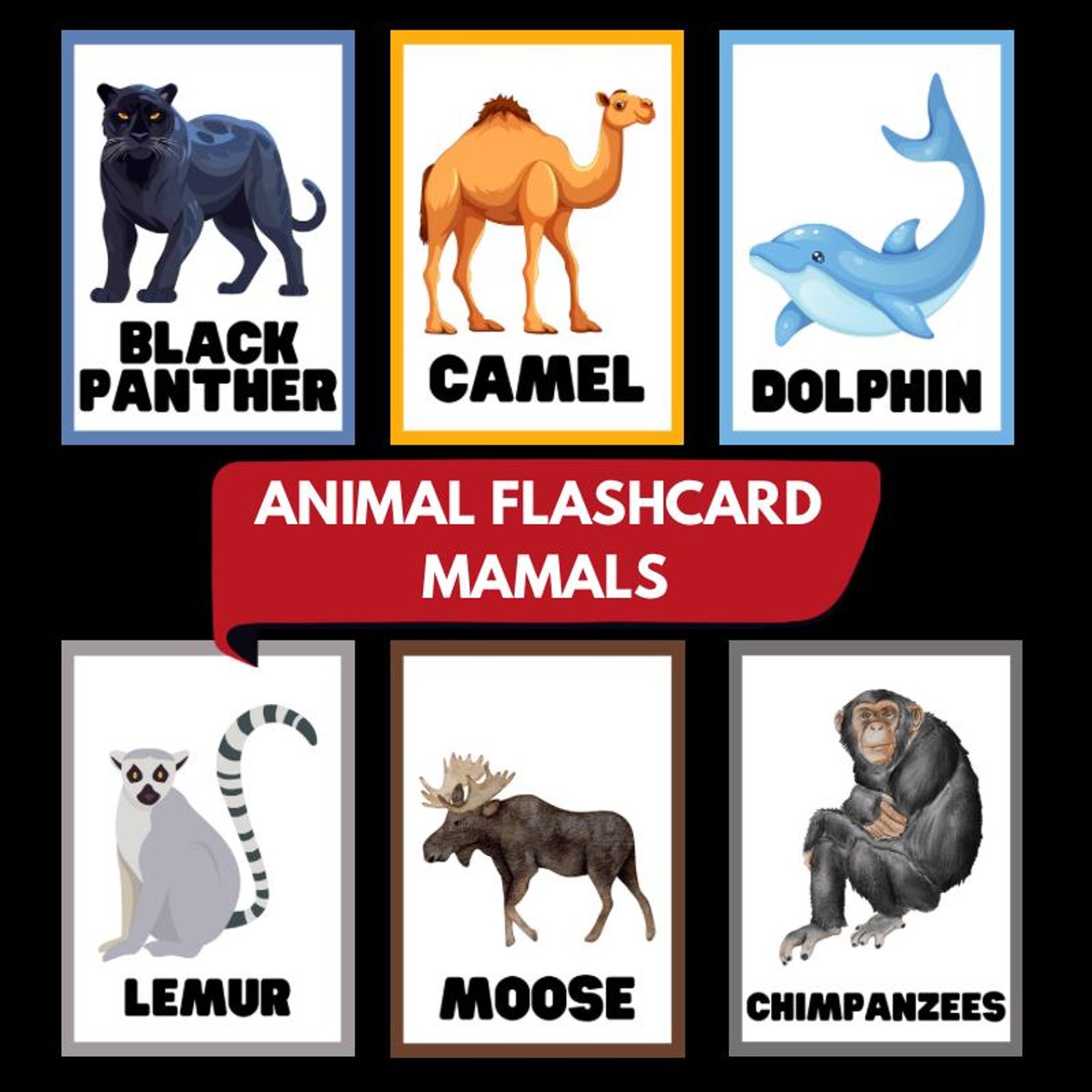 65 Mammal Flashcards for Kids – Educational Animal Learning Cards - Etsy