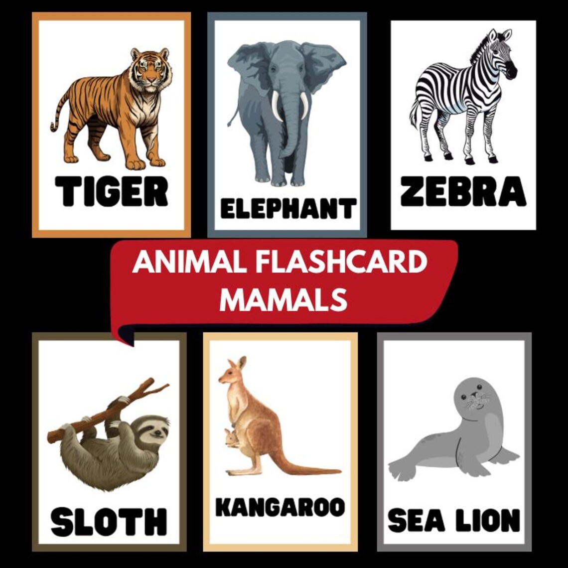 65 Mammal Flashcards for Kids – Educational Animal Learning Cards - Etsy
