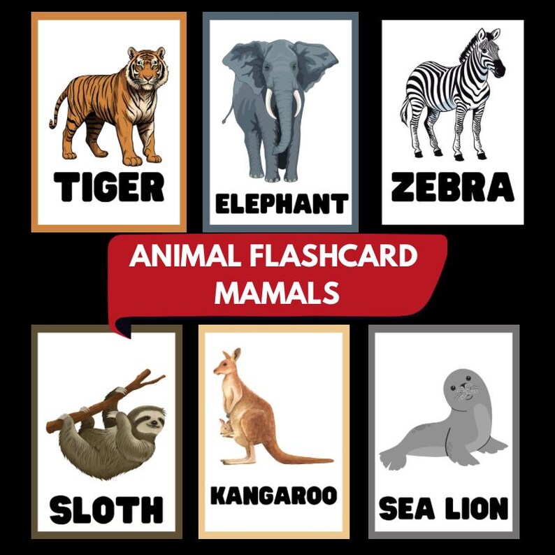 65 Mammal Flashcards for Kids – Educational Animal Learning Cards - Etsy