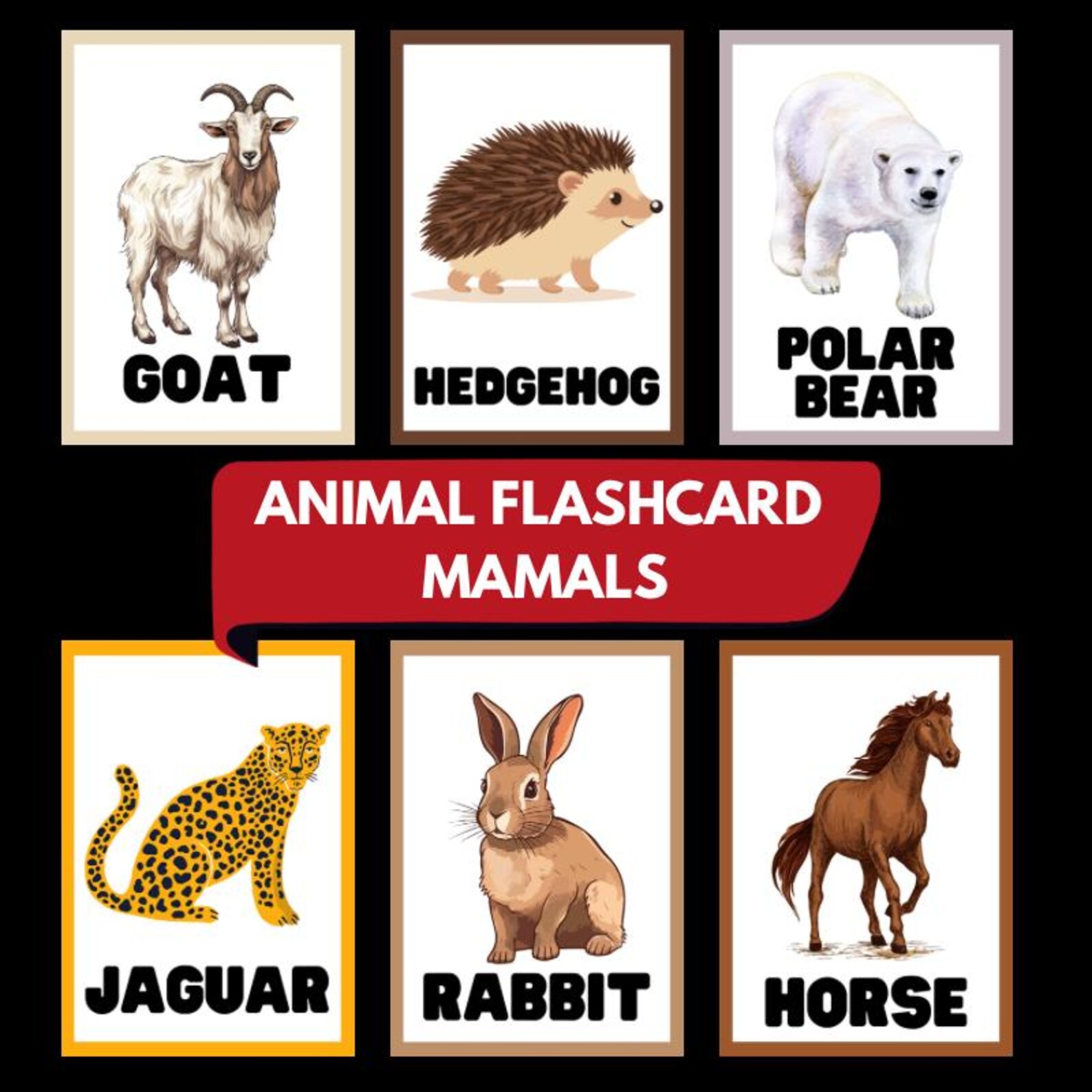 65 Mammal Flashcards for Kids – Educational Animal Learning Cards - Etsy