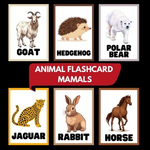 65 Mammal Flashcards for Kids – Educational Animal Learning Cards - Etsy