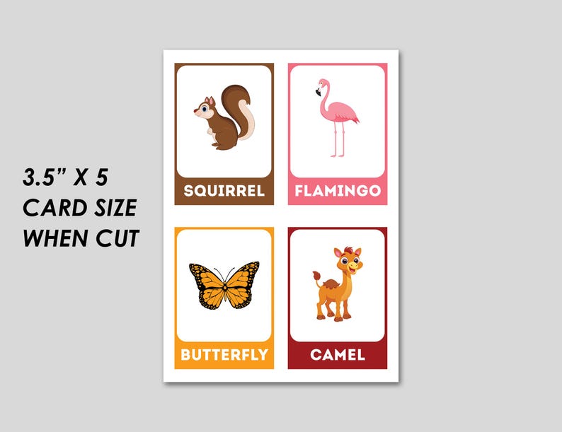 Printable Animal Flashcards | Montessori Homeschool Cards (PDF) - Etsy