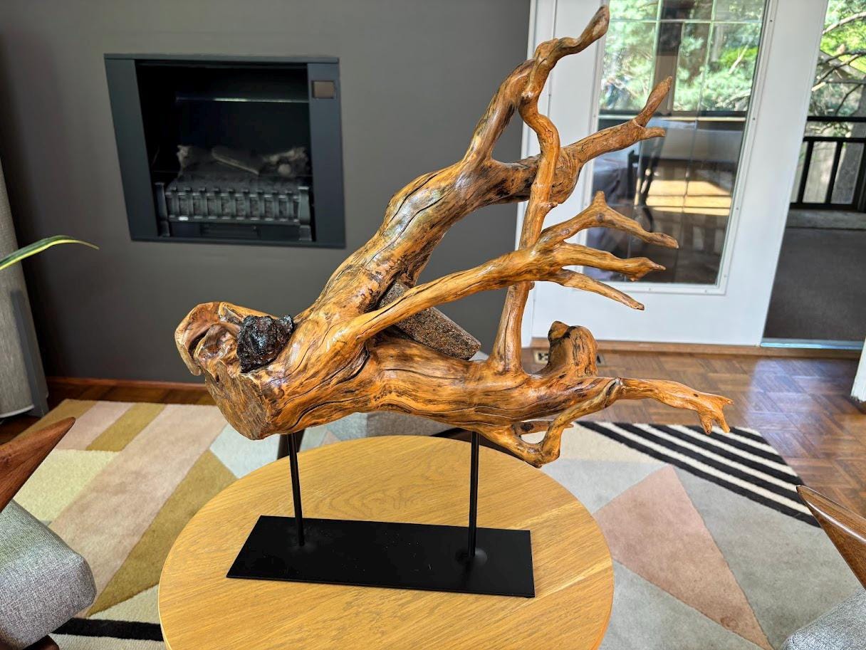 Driftwood Art - Unique Root Captured Rock and Concrete - Etsy