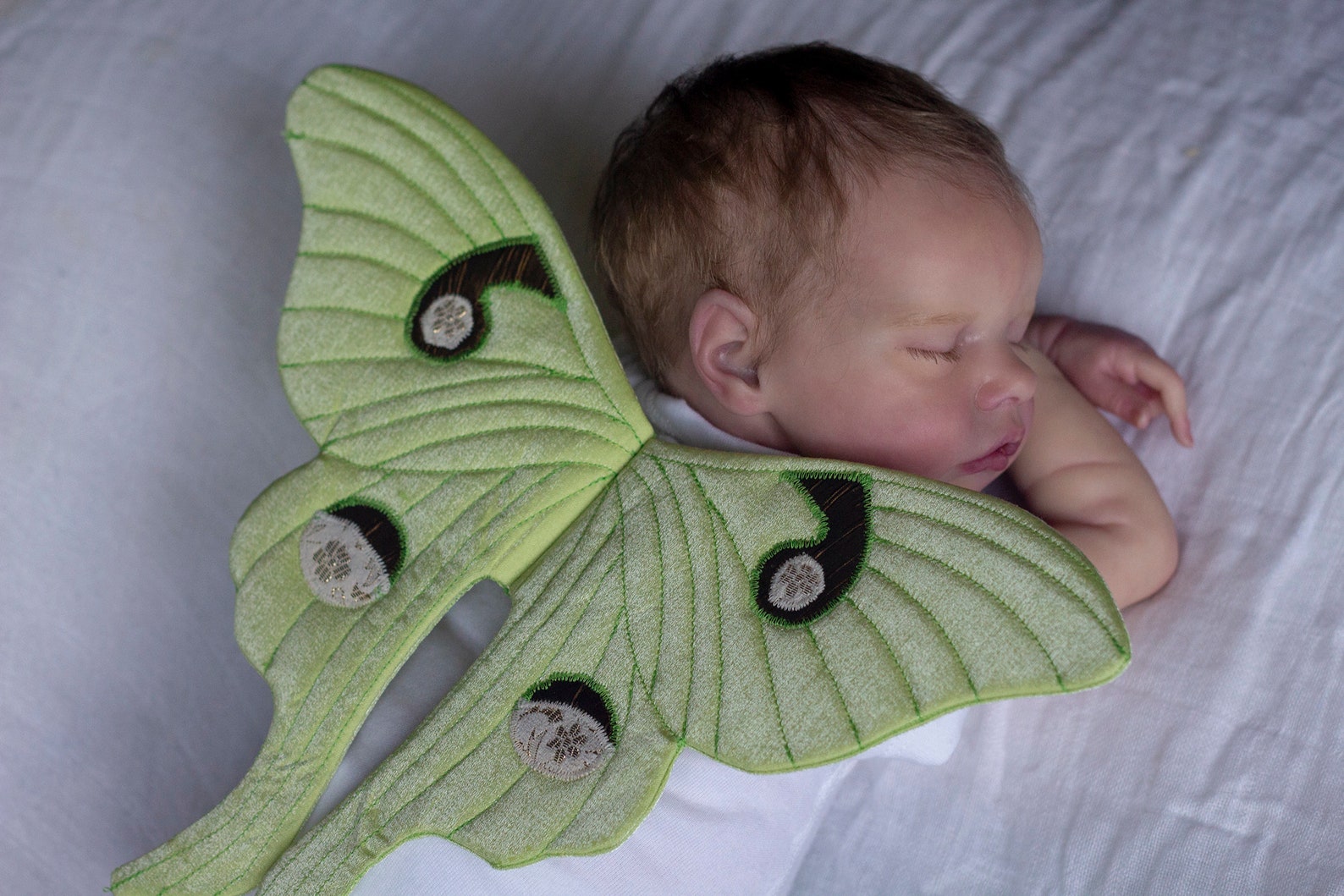 Luna Moth Wings Mini Digital PDF Pattern Video Class - Etsy Australia