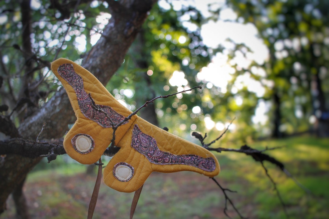 Gum Emperor Wings - Mini - Digital PDF Sewing Pattern + Video Class - Etsy