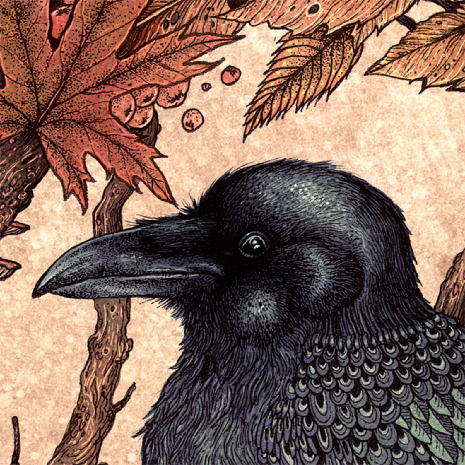 November Raven 8x10 Print | Etsy