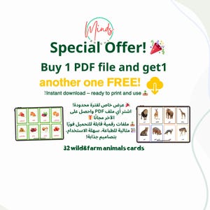 Arabic Fruit & Vegetable Flashcards for Kids | Colorful Printable Cards ...