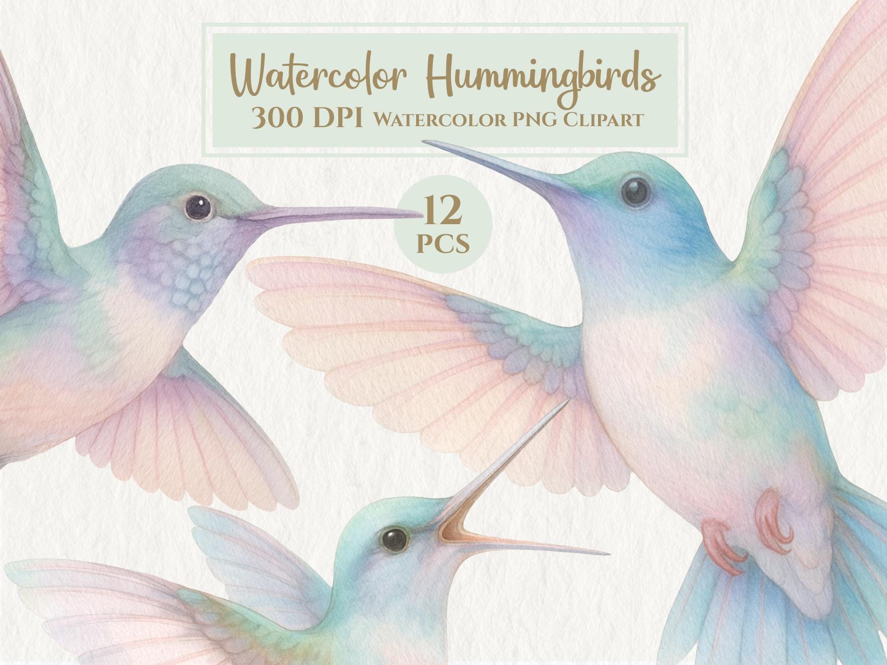 Hummingbird Clipart Bundle – 12 Pastel Watercolor Birds – Transparent ...