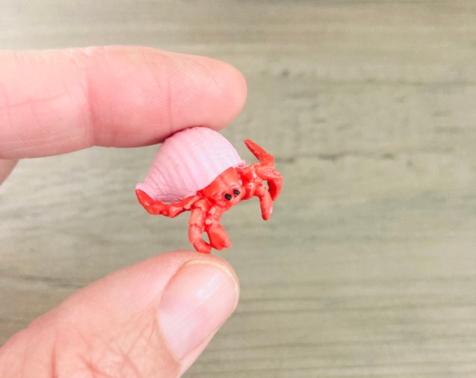 Miniature Hermit Crab / Micro Mini Crab Sea Creature Ocean Reef Pink ...