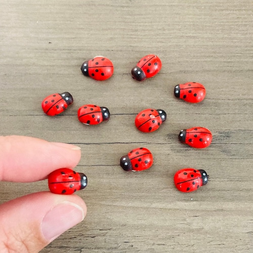 10pc Micro Miniature Ladybugs / Tiny Mini Red Bugs - Etsy