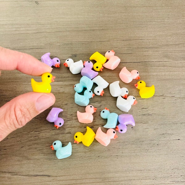 Miniature Resin Ducks - Etsy Canada