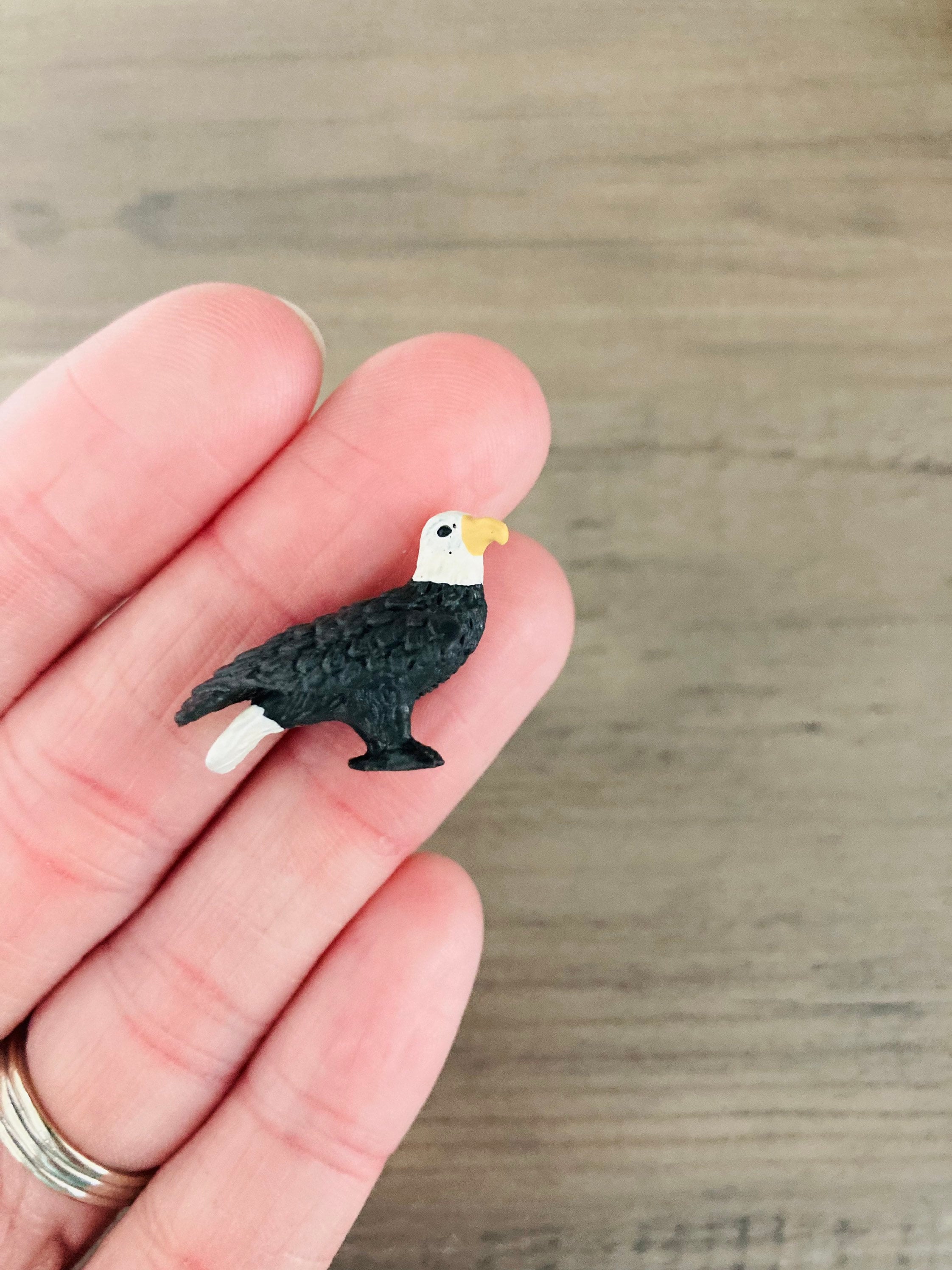 Miniature Bald Eagle / Micro Mini Patriotic American Bird of Prey ...