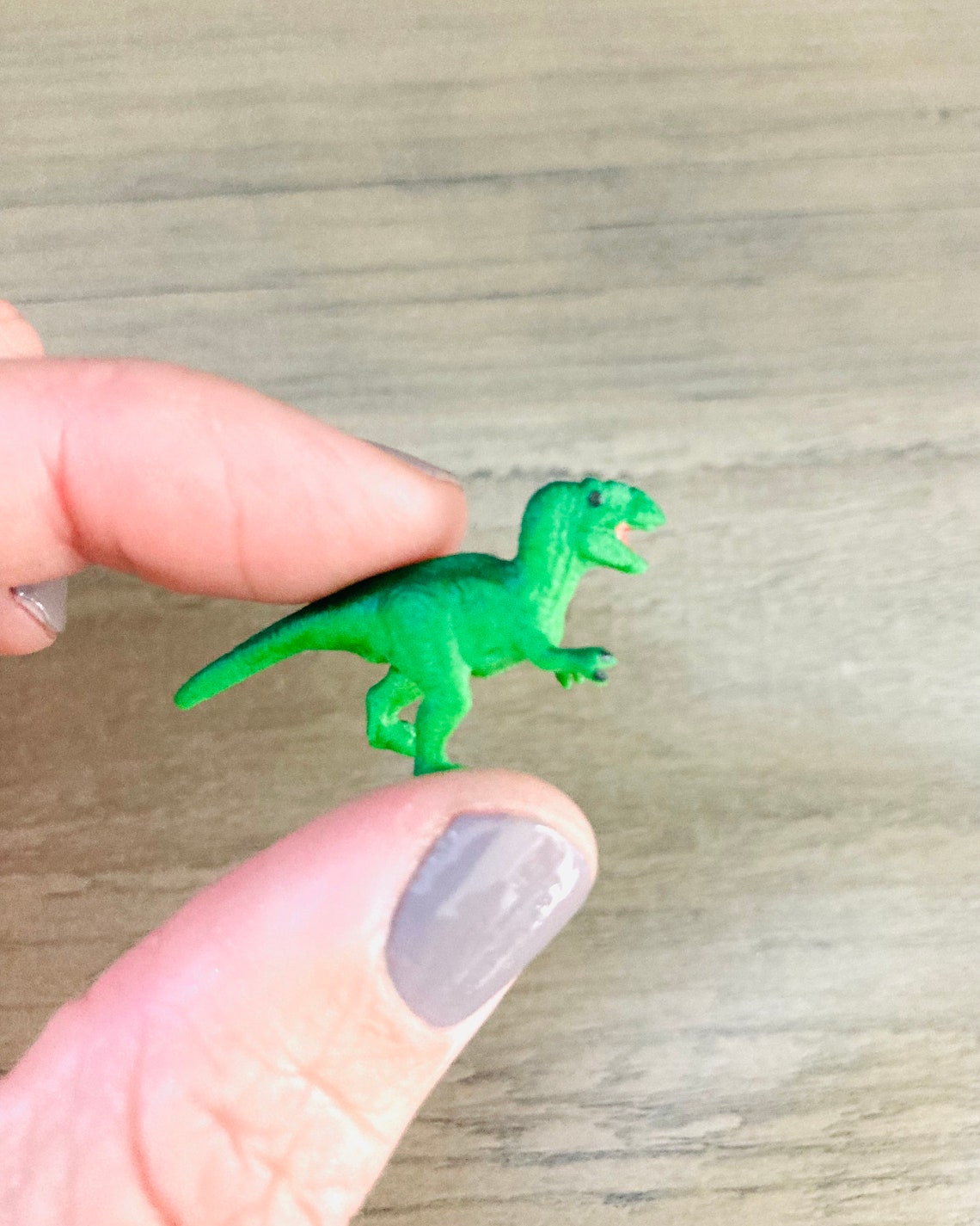 Miniature T-rex Dinosaur / Terrarium Diorama Crafting - Etsy