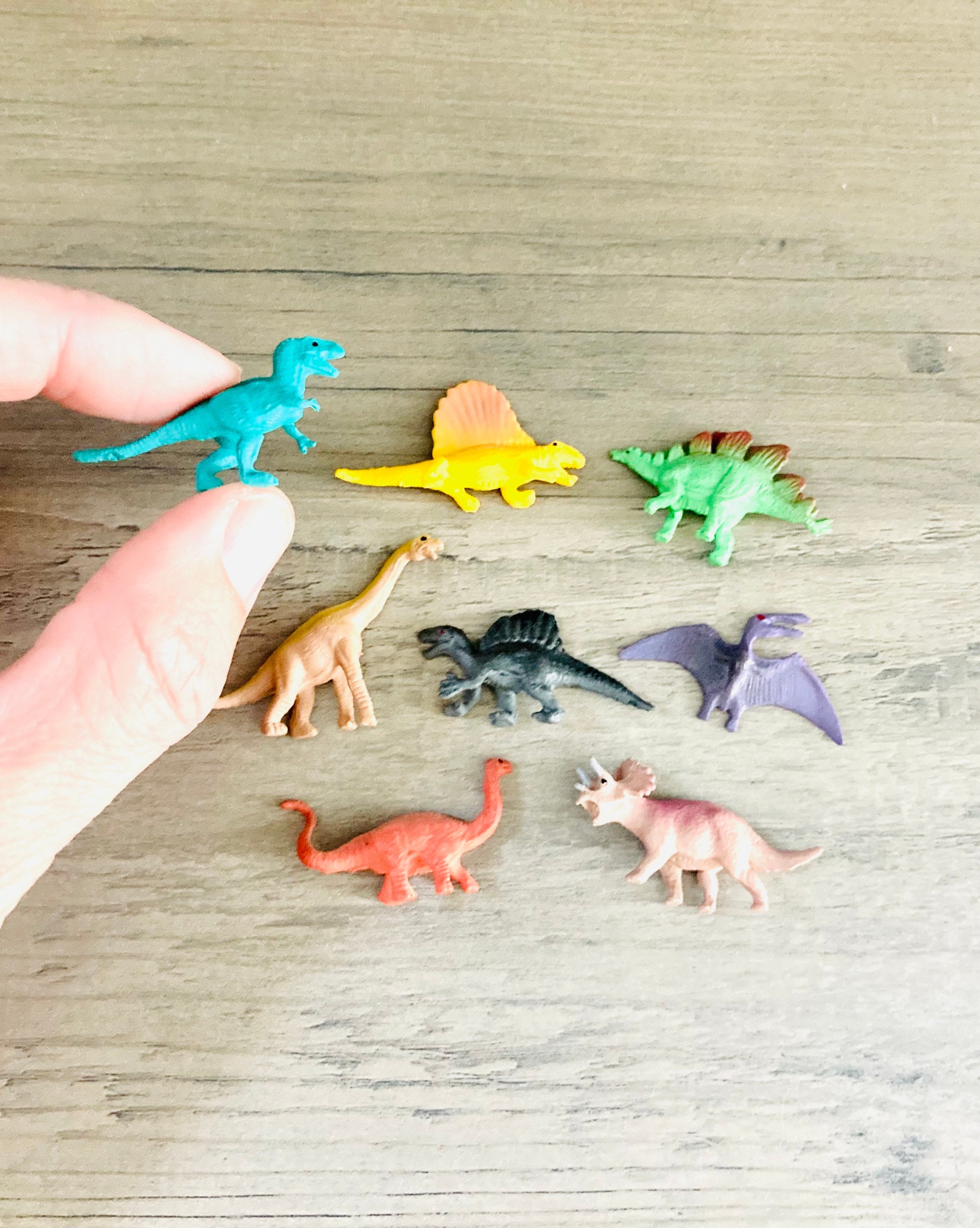 8pc Miniature Dinosaurs / Micro Mini Dinos Crafting Terrarium Diorama ...