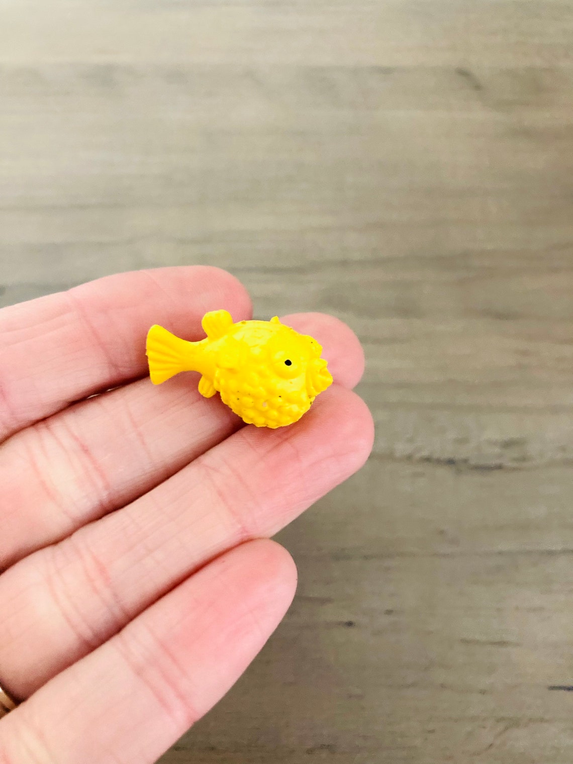 Miniature Pufferfish / Coral Reef Diorama Terrarium Aquarium Craft ...
