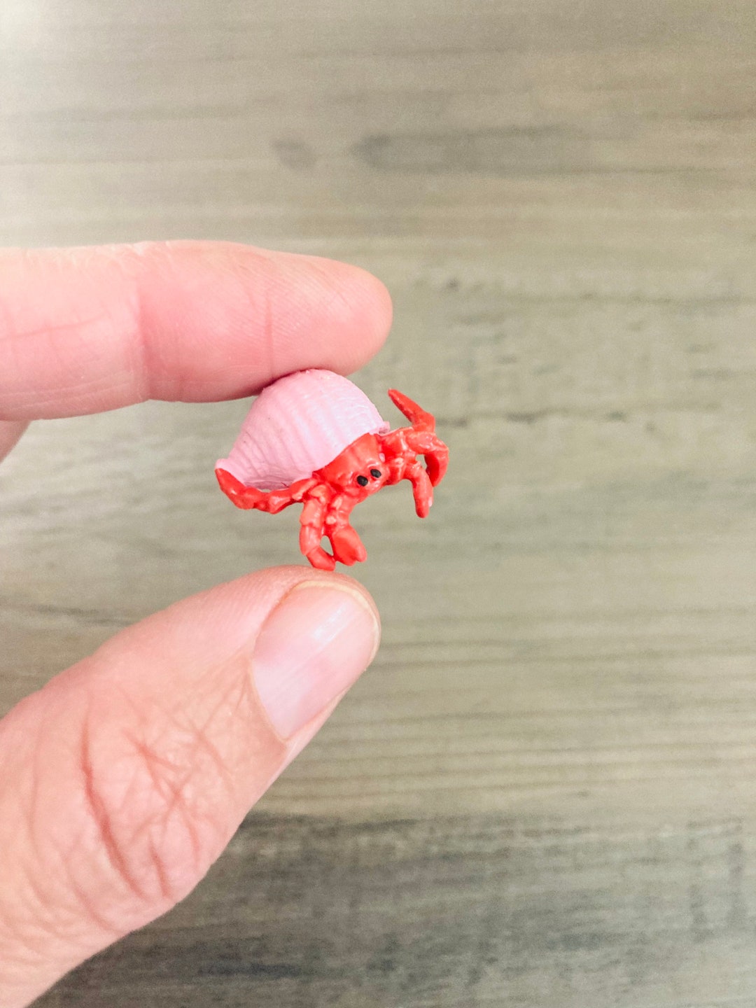 Miniature Hermit Crab / Micro Mini Crab Sea Creature Ocean Reef Pink ...