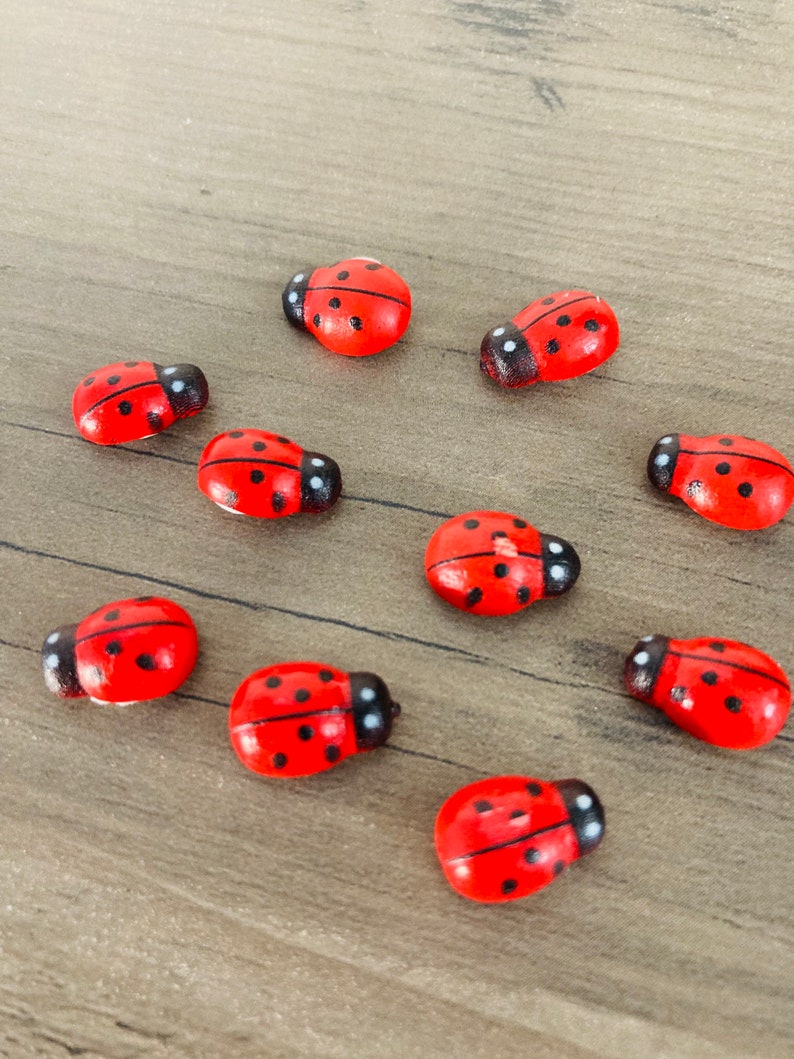 10pc Micro Miniature Ladybugs / Tiny Mini Red Bugs - Etsy