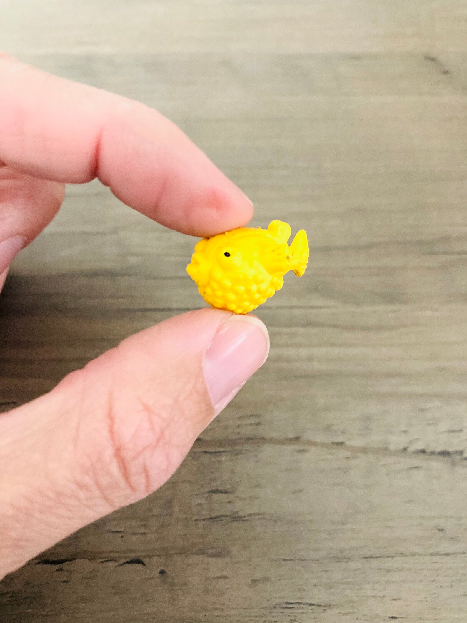 Miniature Pufferfish / Coral Reef Diorama Terrarium Aquarium Craft ...