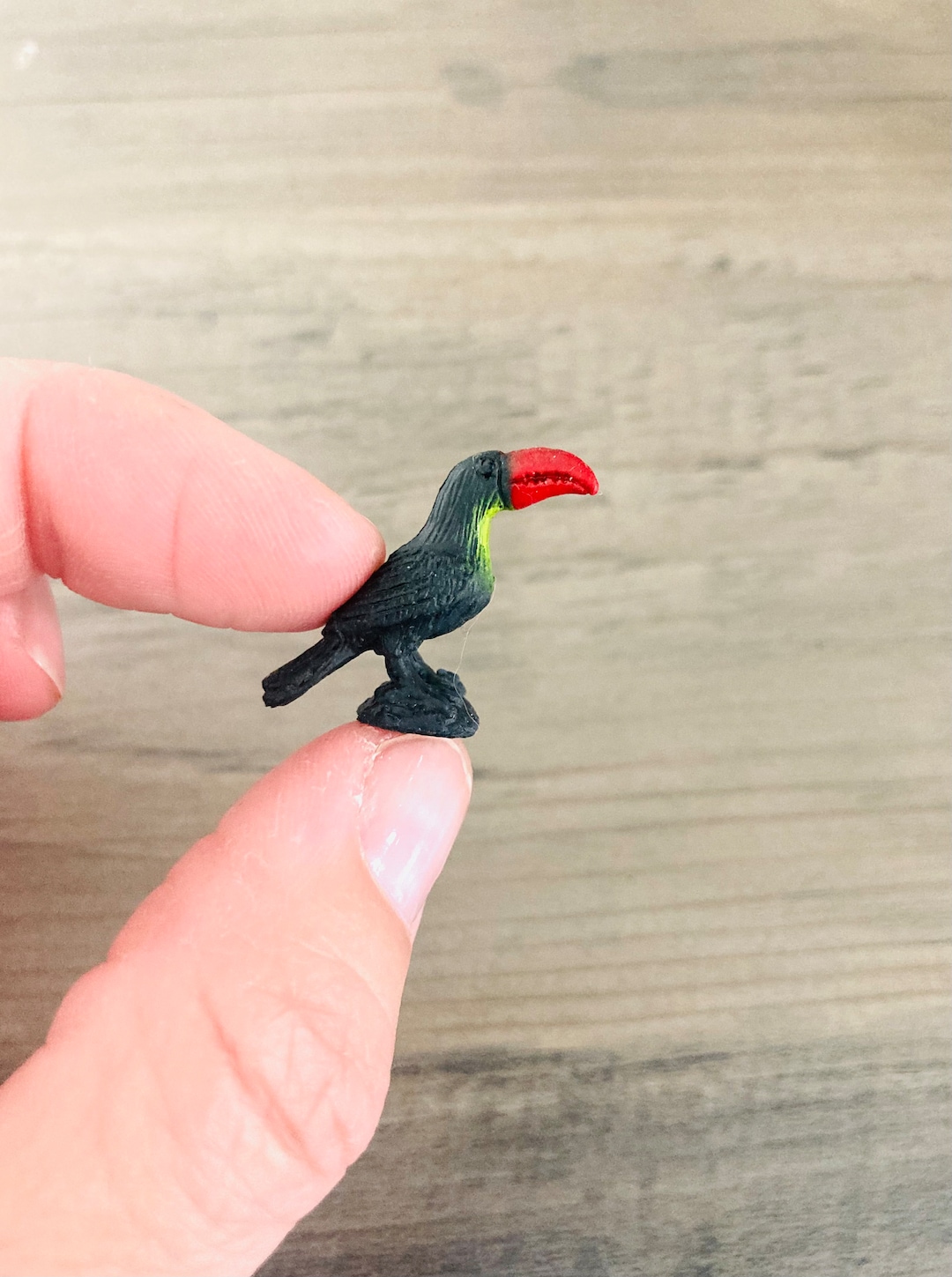 Miniature Toucan Bird / Micro Mini Tropical Bird Ramphastidae Crafting Diorama Terrarium - Etsy