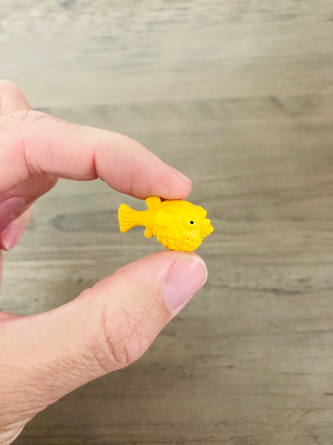 Miniature Pufferfish / Coral Reef Diorama Terrarium Aquarium Craft ...