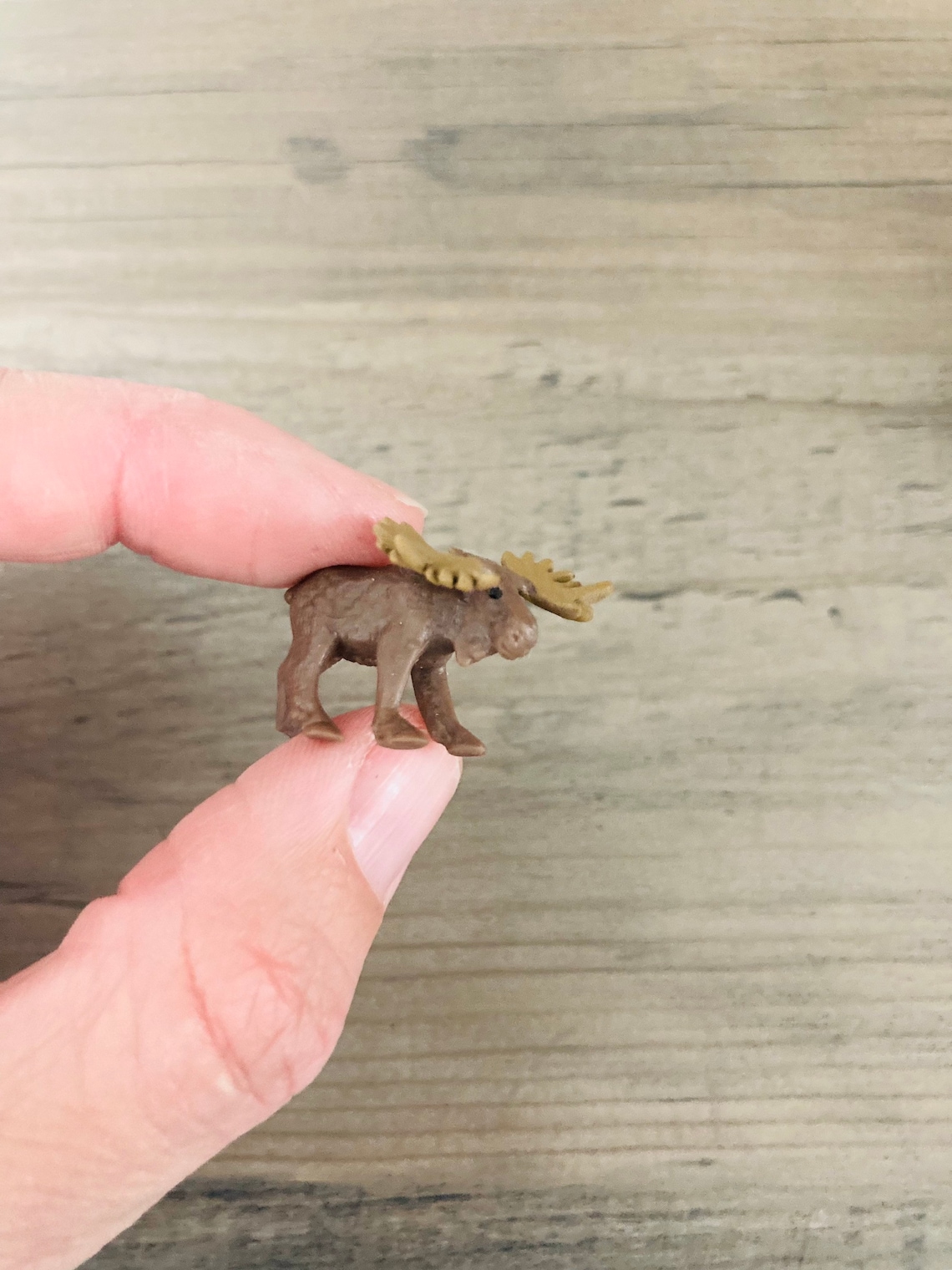 Miniature Mountain Moose / Micro Mini Forest Animal Crafting - Etsy