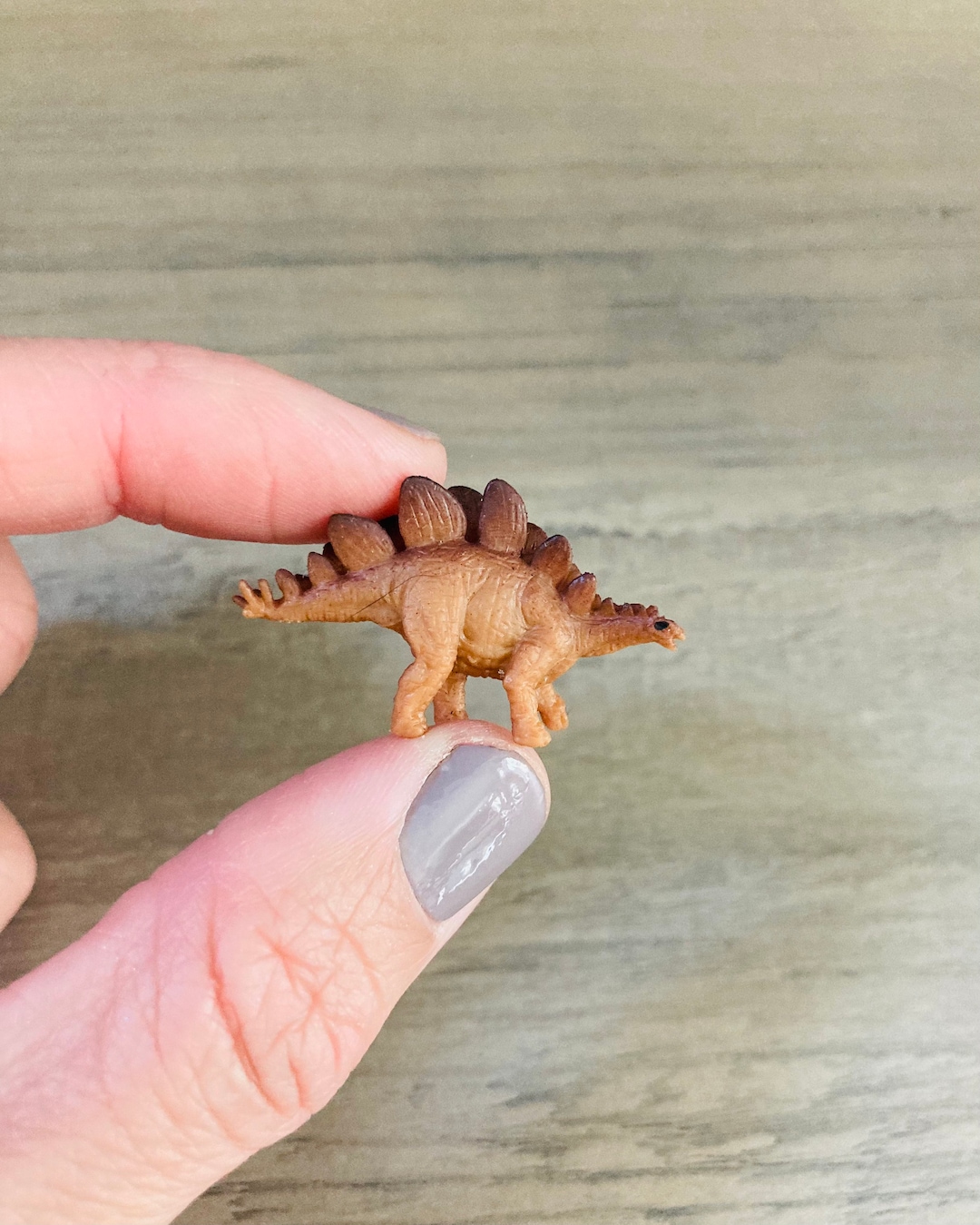 Miniature Stegosaurus Dinosaur / Crafting Diorama Terrarium Micro Mini Dino - Etsy